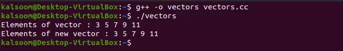 Kopyaha ang Vector C++ 5193_4