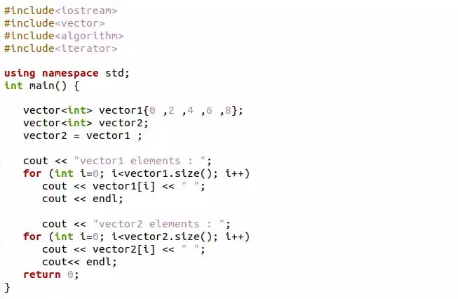 Kopyaha ang Vector C++ 5193_5