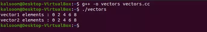 Kopyaha ang Vector C++ 5193_6