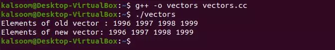 Kopyaha ang Vector C++ 5193_8