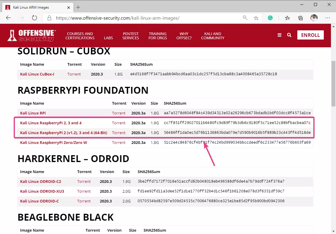 Installige Kali Linux seadmesse Raspberry Pi 4 5231_1