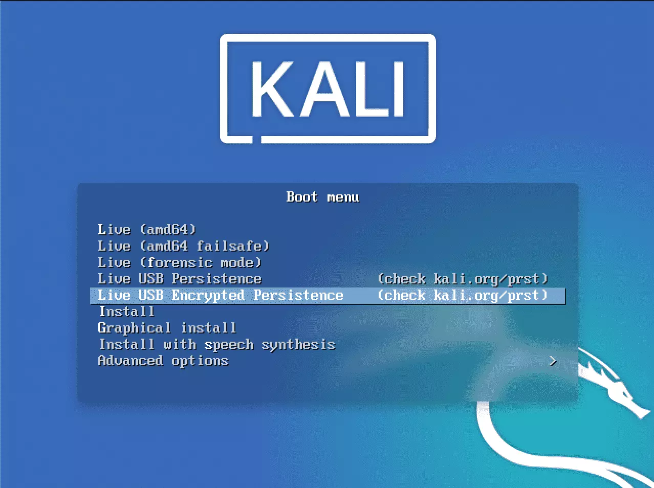Kali Linux USB の永続性