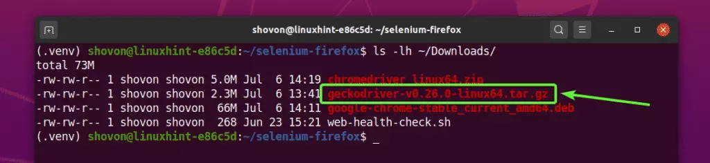 Выкарыстанне Selenium з драйверам Firefox 5266_14