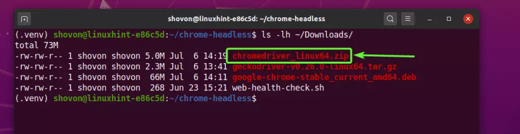 Përdorimi i Selenium Headless me Chrome 5267_15