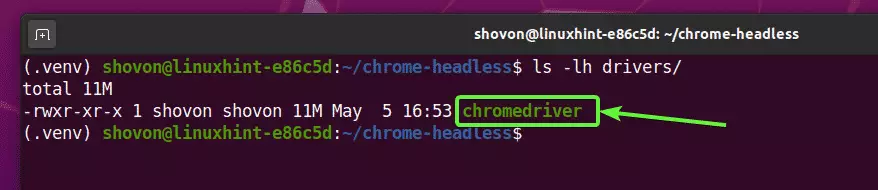 Përdorimi i Selenium Headless me Chrome 5267_17
