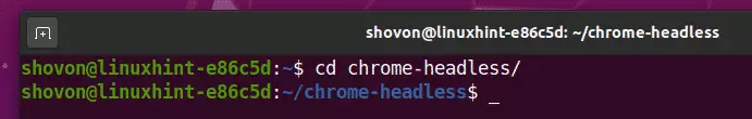Përdorimi i Selenium Headless me Chrome 5267_4