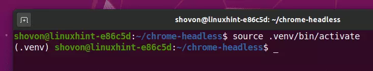 Përdorimi i Selenium Headless me Chrome 5267_7