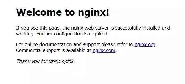 Como instalar e configurar un servidor Nginx por primeira vez 5333_1