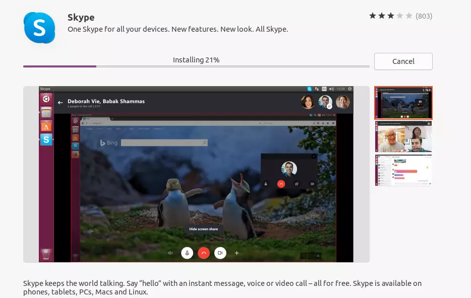 I-install ang Skype sa Linux 5349_12
