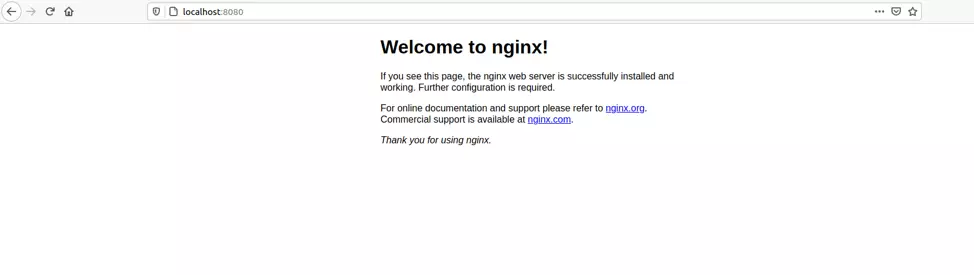 Sut mae defnyddio Nginx Docker? 5373_5