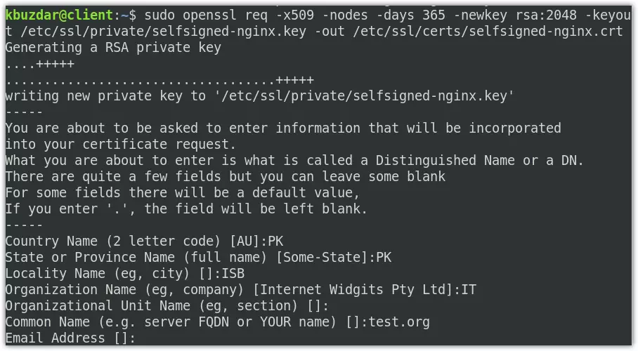 Linux ичинде Nginx SSL орнотуу 5374_1