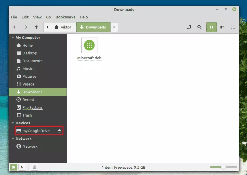 Linux Mint-ൽ Google ഡ്രൈവ് മൗണ്ട് ചെയ്ത് ഉപയോഗിക്കുക 5457_16