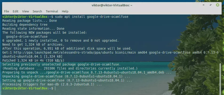 Mount en brûk Google Drive op Linux Mint 5457_19
