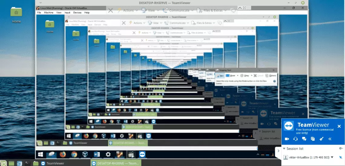 Mokhoa oa ho kenya TeamViewer ho Linux Mint 5467_11