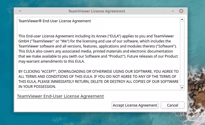 Mokhoa oa ho kenya TeamViewer ho Linux Mint 5467_6