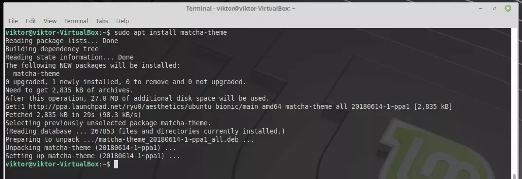 11 καλύτερα θέματα Linux Mint 5470_49