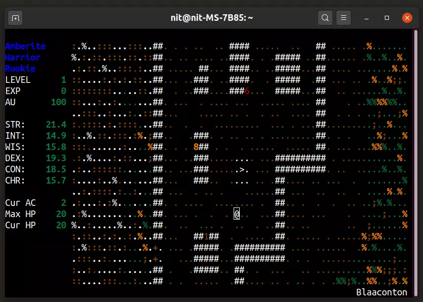 Beschte Command Line Games fir Linux 5517_4