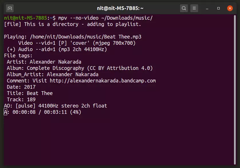 Trình phát nhạc dòng lệnh tốt nhất cho Linux 5518_6