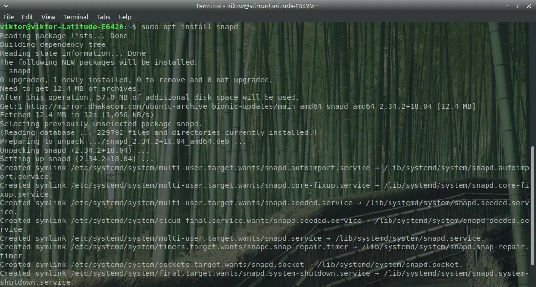 Ubuntu 18.04-də Google Hangouts 5541_5