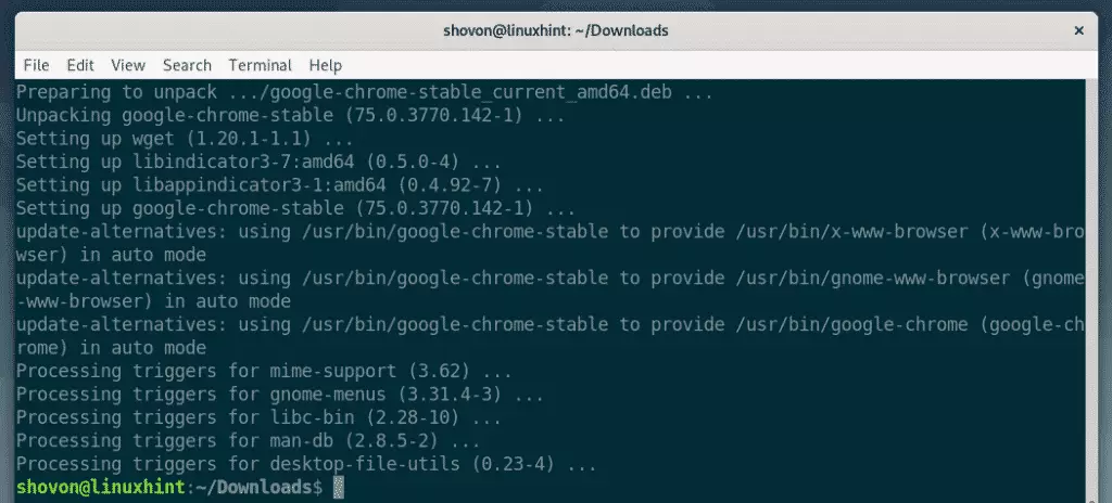 Debian 10го Google Chrome орнотуу 5558_12