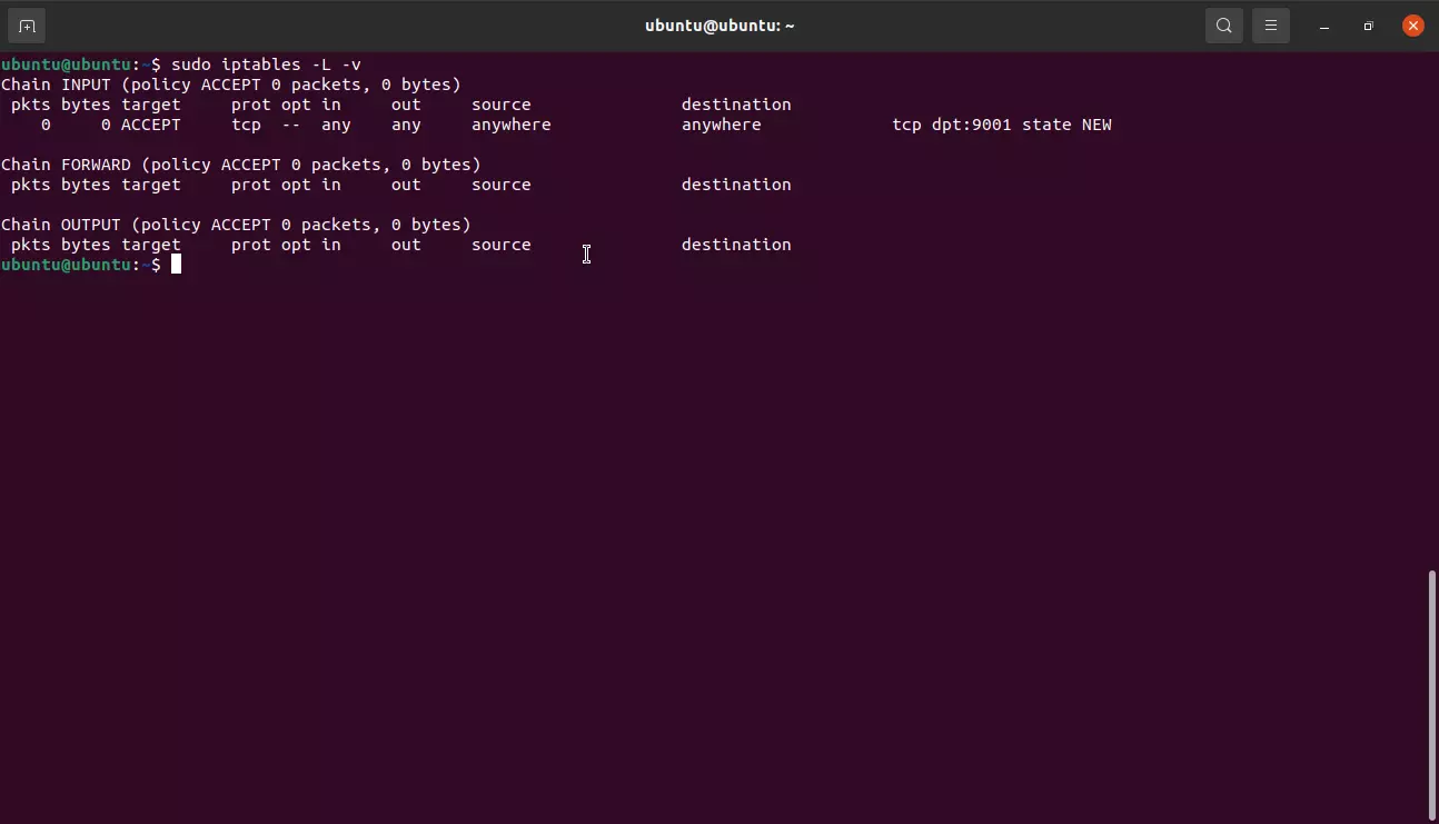 Ubuntu Iptables: როგორ გავაკონტროლოთ ქსელის ტრაფიკი iptables-ის გამოყენებით? 5627_3