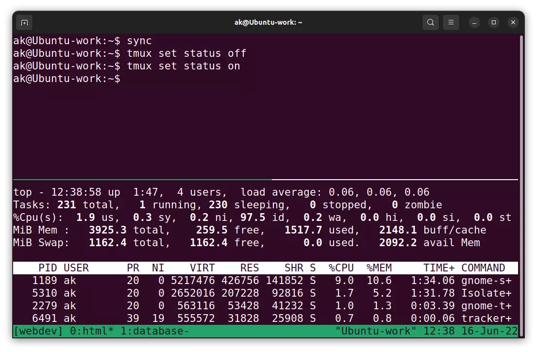 Personnalisation de la barre d'état dans tmux 56_11