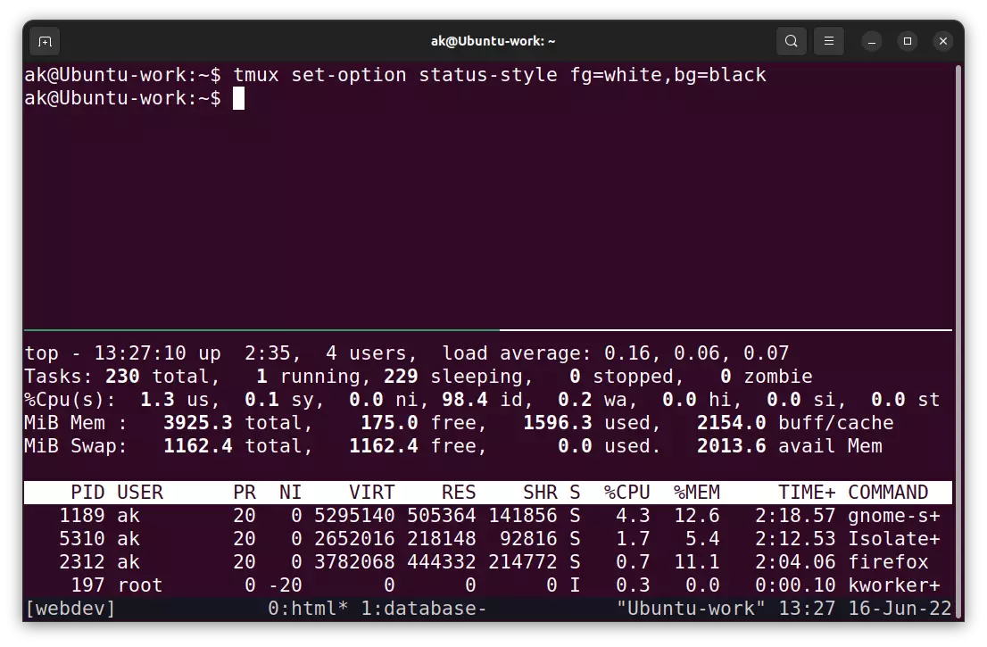 tmux માં સ્ટેટસ બારને કસ્ટમાઇઝ કરી રહ્યા છીએ 56_13