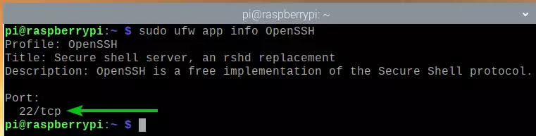 Raspberry Pi befeiligje mei firewall 5742_19