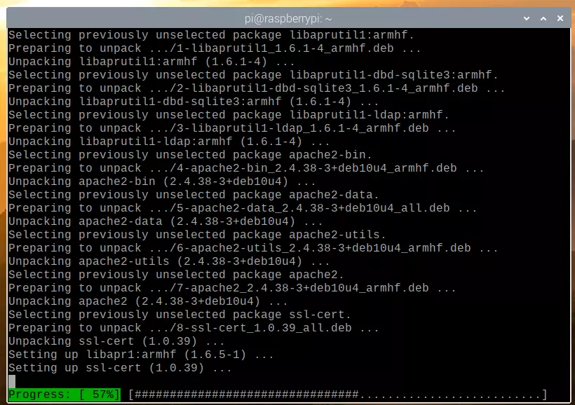 Ngamankeun Raspberry Pi sareng Firewall 5742_34