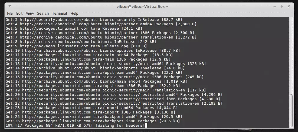 Linux Mint Uburyo bwo Kuvugurura Sisitemu 574_28