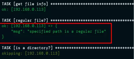 ការប្រើប្រាស់ម៉ូឌុល Stat Ansible 5794_4