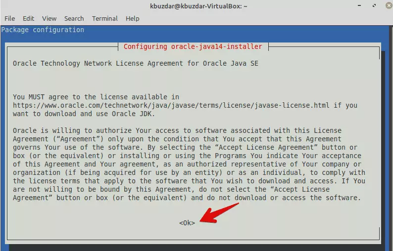 Conas Java a shuiteáil i Linux Mint 20 579_9