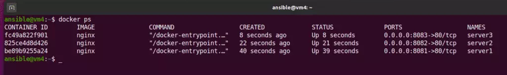 Sut i Atal Pob Cynhwysydd Dociwr rhag Defnyddio Ansible 5805_36