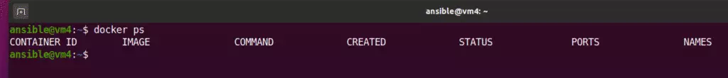 როგორ გავაჩეროთ ყველა Docker კონტეინერი Ansible-ის გამოყენებით 5805_44