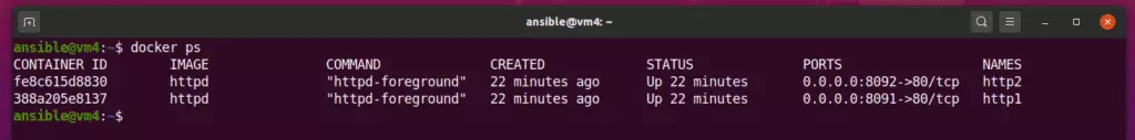 چگونه همه کانتینرهای Docker را با استفاده از Ansible متوقف کنیم 5805_59
