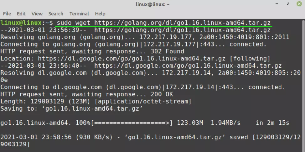 Как да инсталирате Go на Linux Mint 20? 581_5
