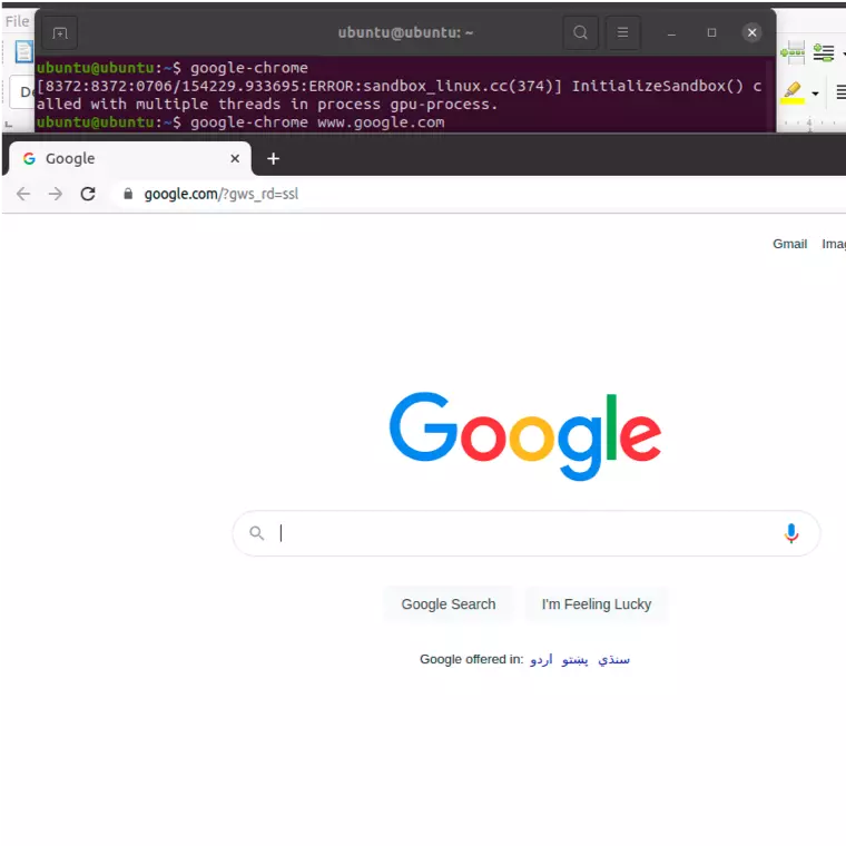 Meriv çawa Google Chrome ji Termînalê di Ubuntu de vedike? 5827_6