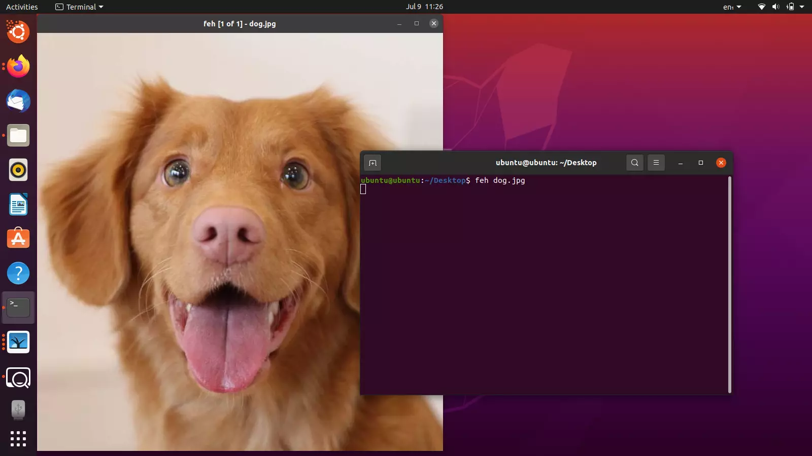 Pokaż obraz w terminalu Ubuntu 5828_2