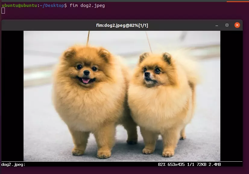 სურათის ჩვენება ტერმინალ Ubuntu-ში 5828_6