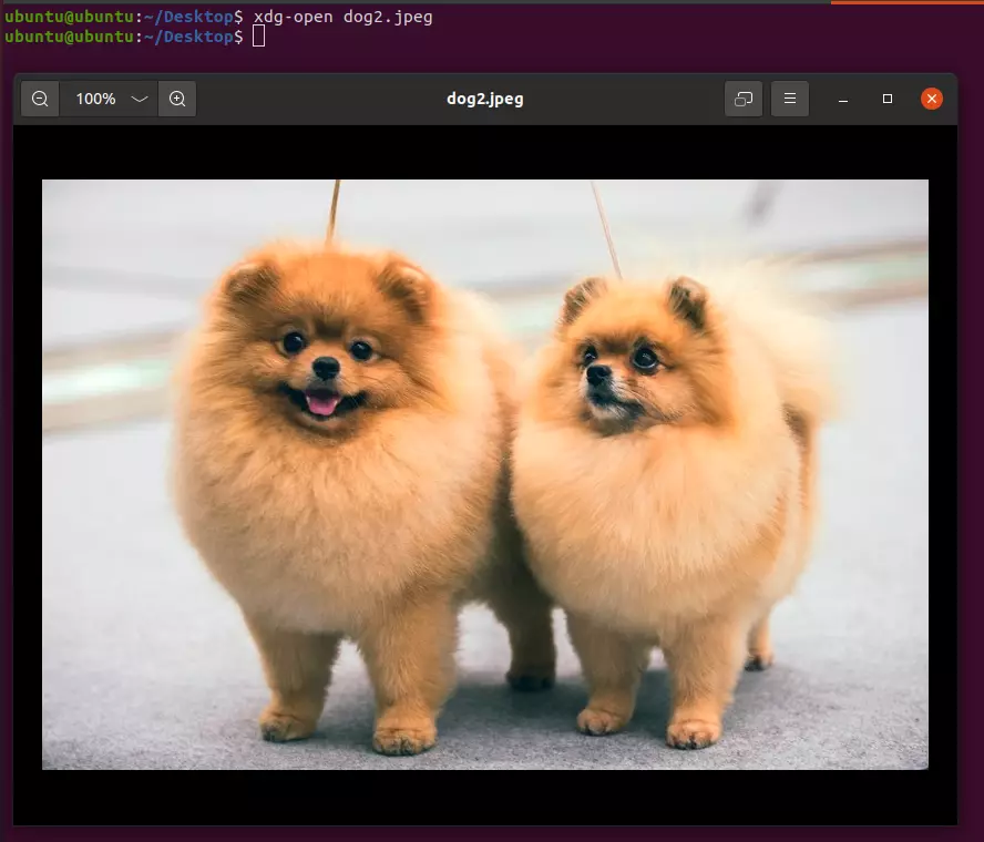 სურათის ჩვენება ტერმინალ Ubuntu-ში 5828_8