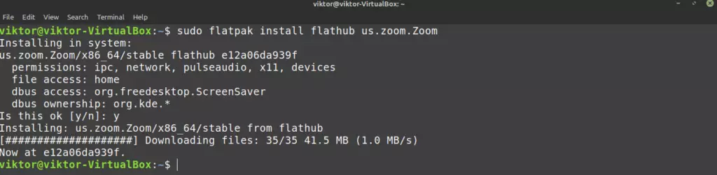 Kumaha Pasang sareng Anggo Zoom dina Linux Mint 593_11