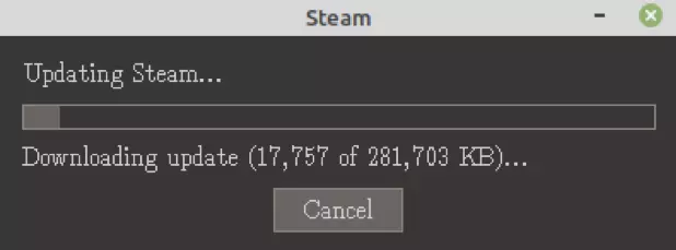 Si të instaloni Steam në Linux Mint 20? 596_15