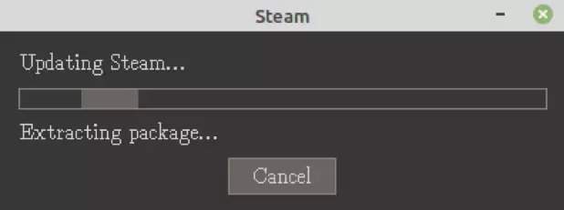 Si të instaloni Steam në Linux Mint 20? 596_16