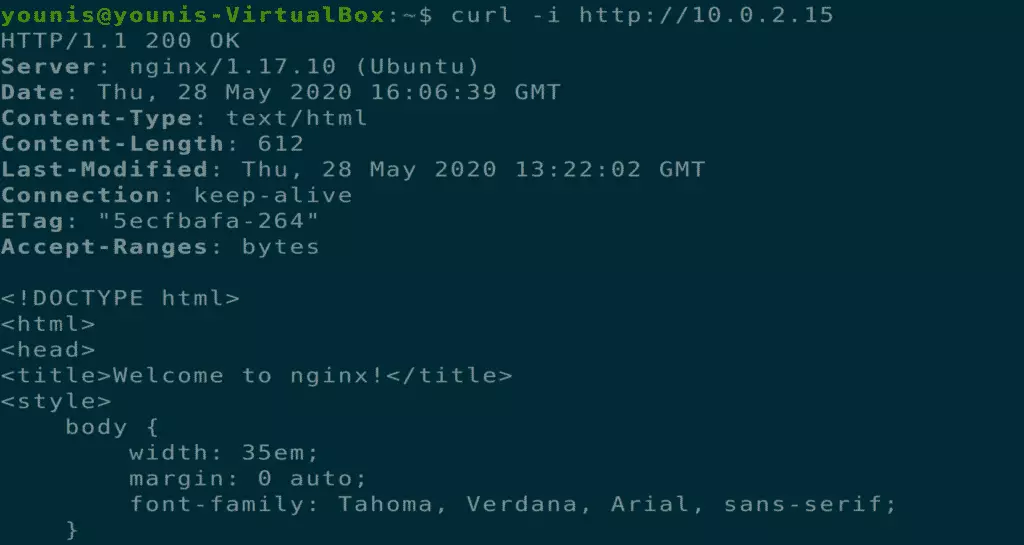 Kako instalirati NGINX na Ubuntu 20.04 607_8