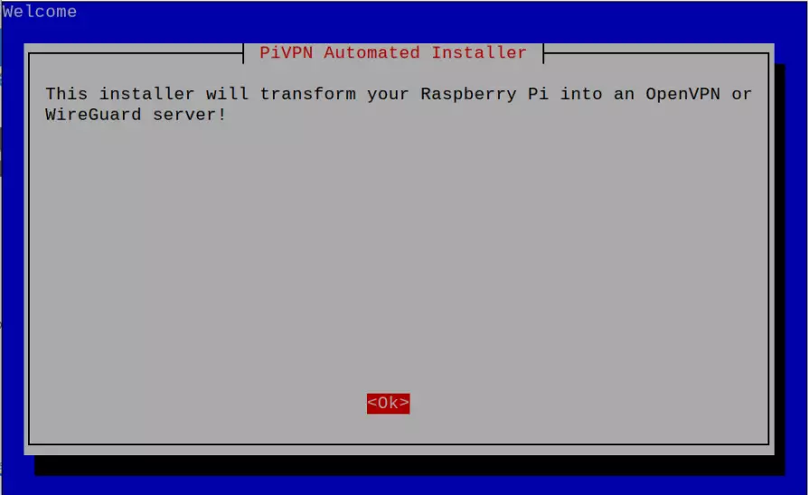 قم بتثبيت وإعداد WireGuard على Raspberry Pi | دليل خطوة بخطوة 6138_4