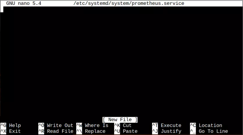 Как да инсталирате Prometheus на Raspberry Pi 6147_6