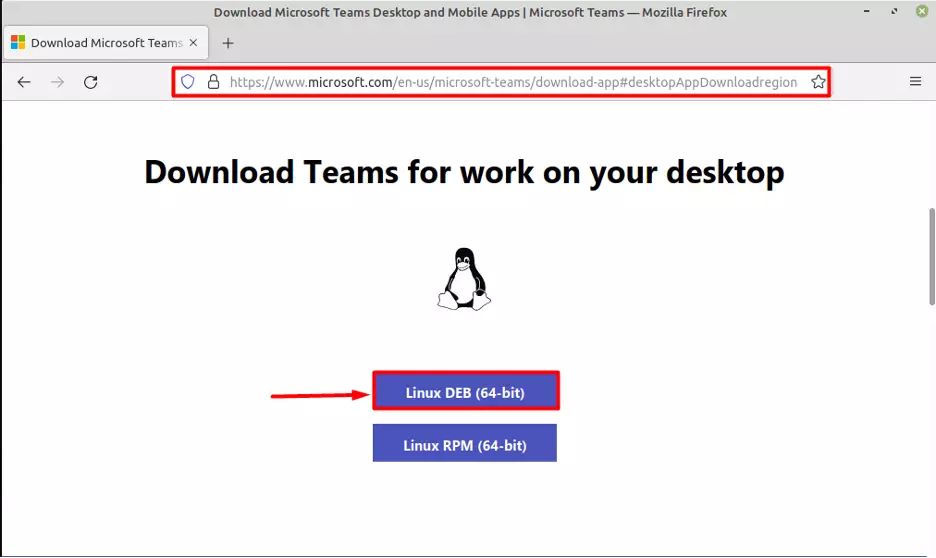 Како да инсталирате Microsoft Teams на Linux Mint 614_3
