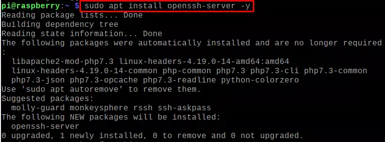 Kaip įjungti SSH Raspberry Pi 6182_2