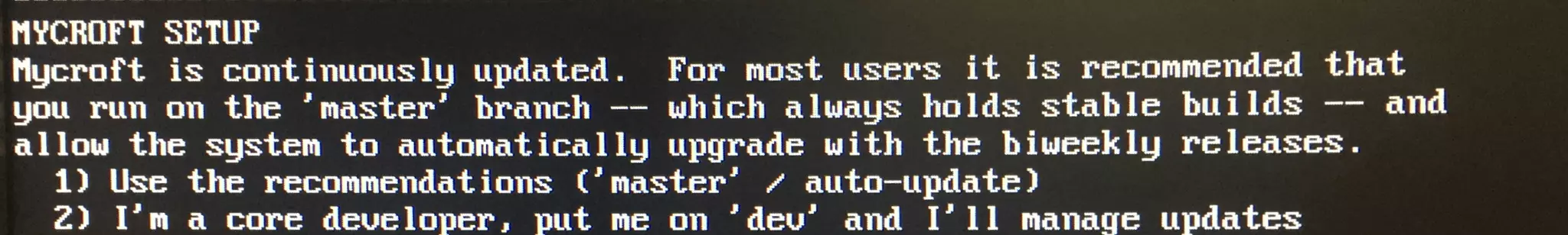 Kuidas installida Mycroft Raspberry Pi-le 6216_12